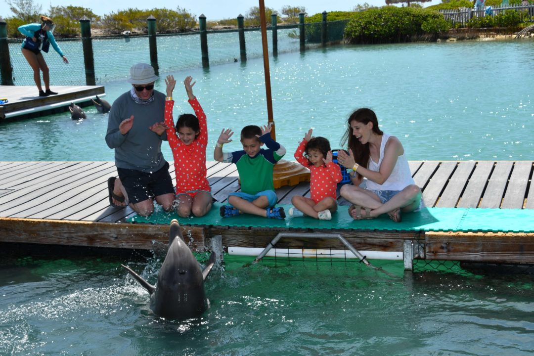 Mini-Trip Report: Hawk's Cay in Duck Key - The Shu Box