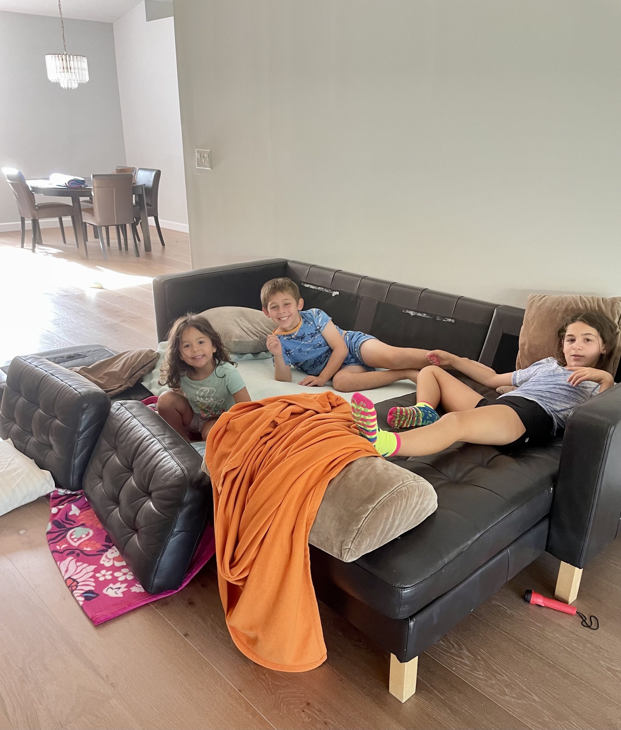 SUNDAY report - The Shu Box