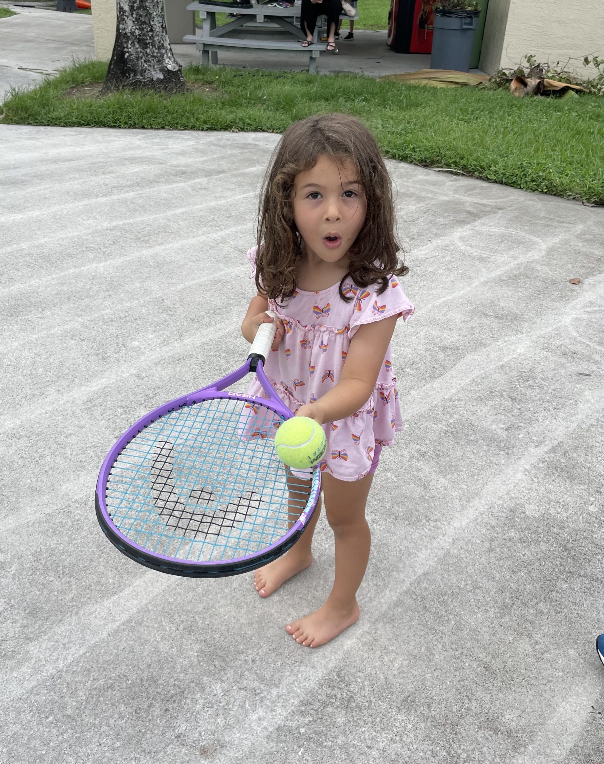 5 on a Friday: Transition Edition - The Shu Box