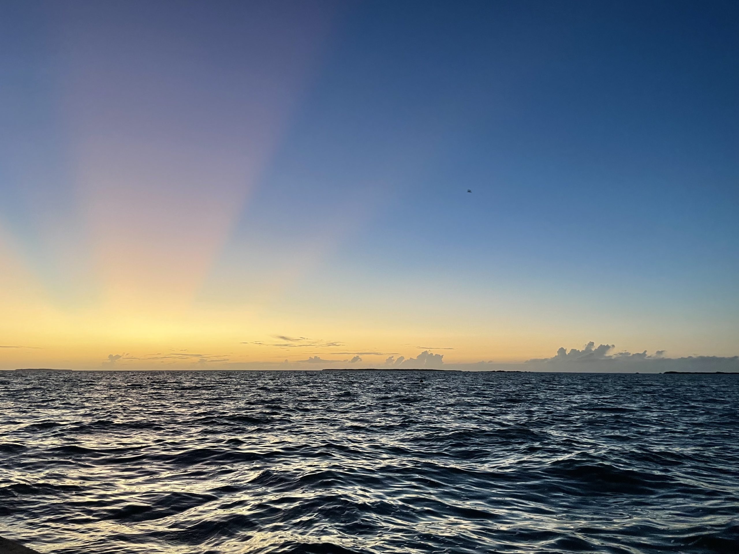 Sunday Workout Report - The Shu Box