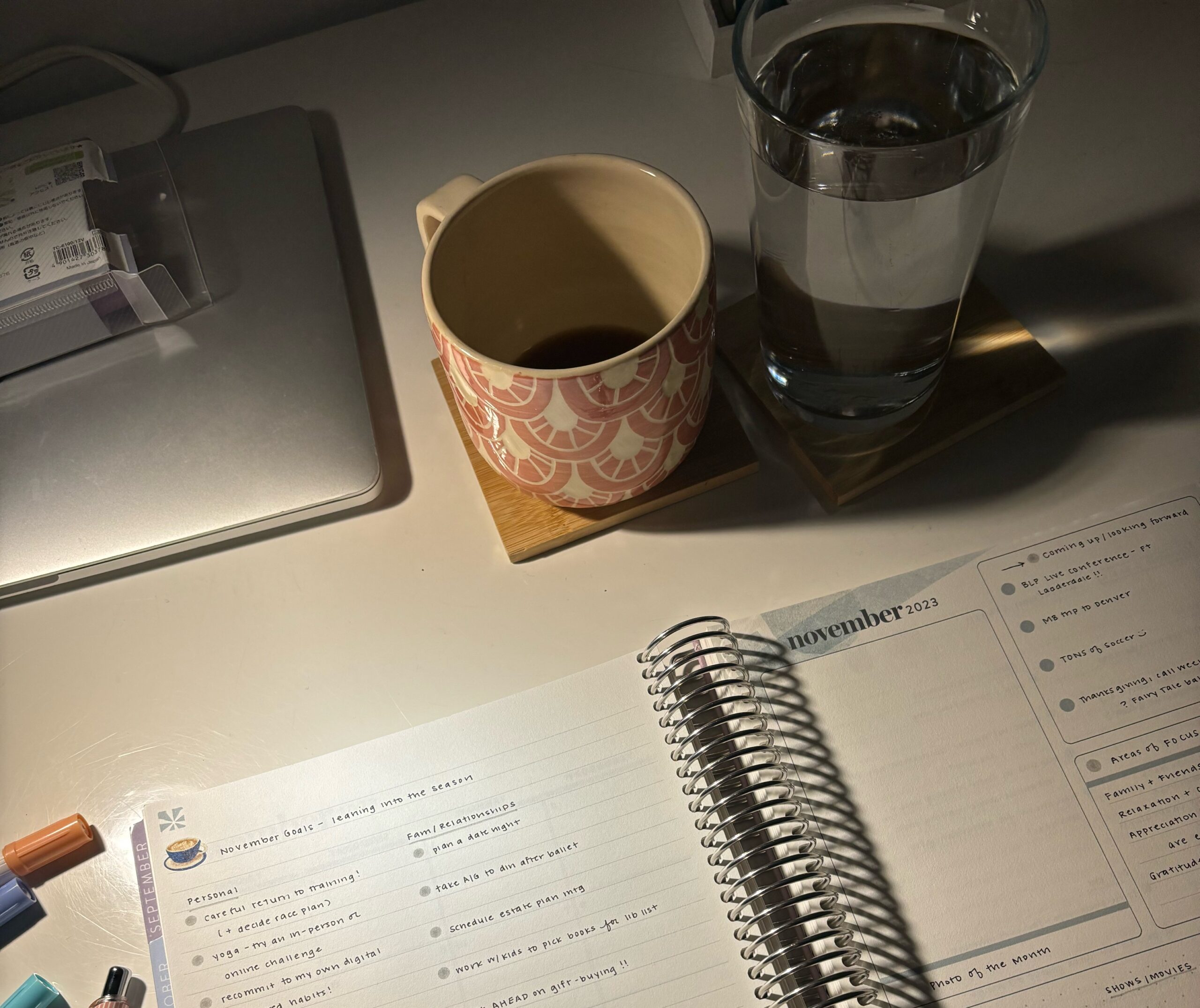 Appreciating the Little Things - The Shu Box