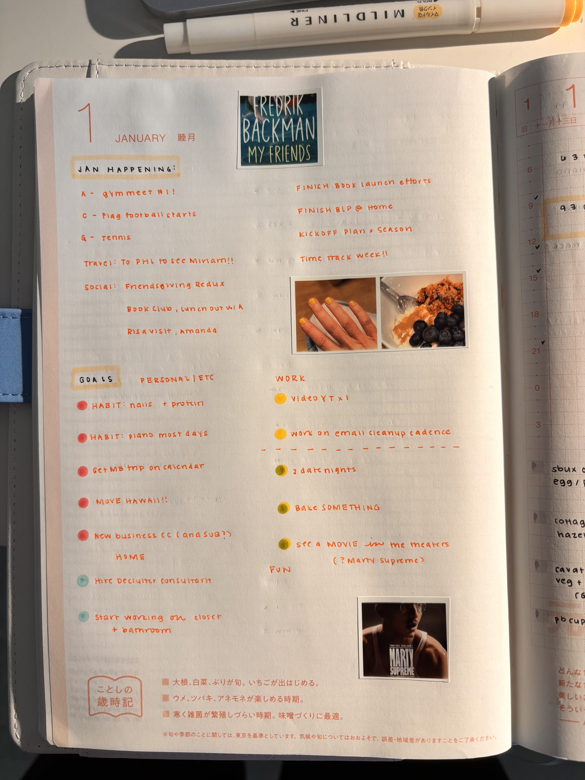 January Goals (Yes I Know) - The Shu Box